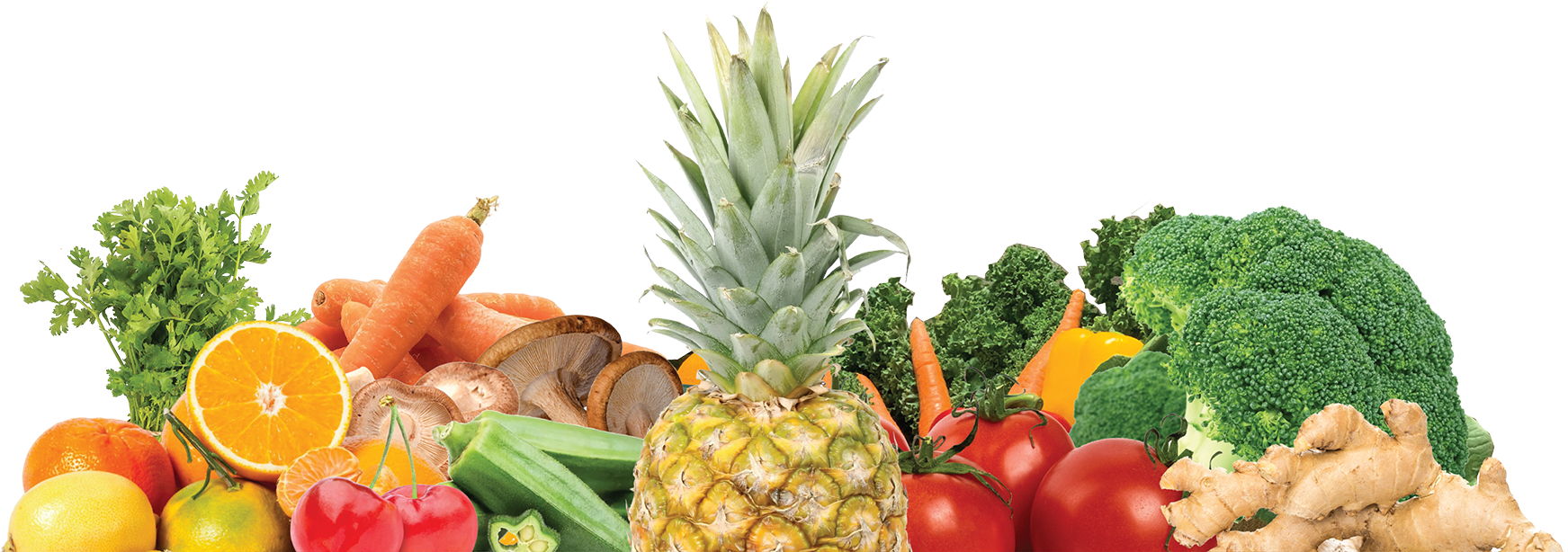 Doctors Research, Inc. – 100% Food Nutrients